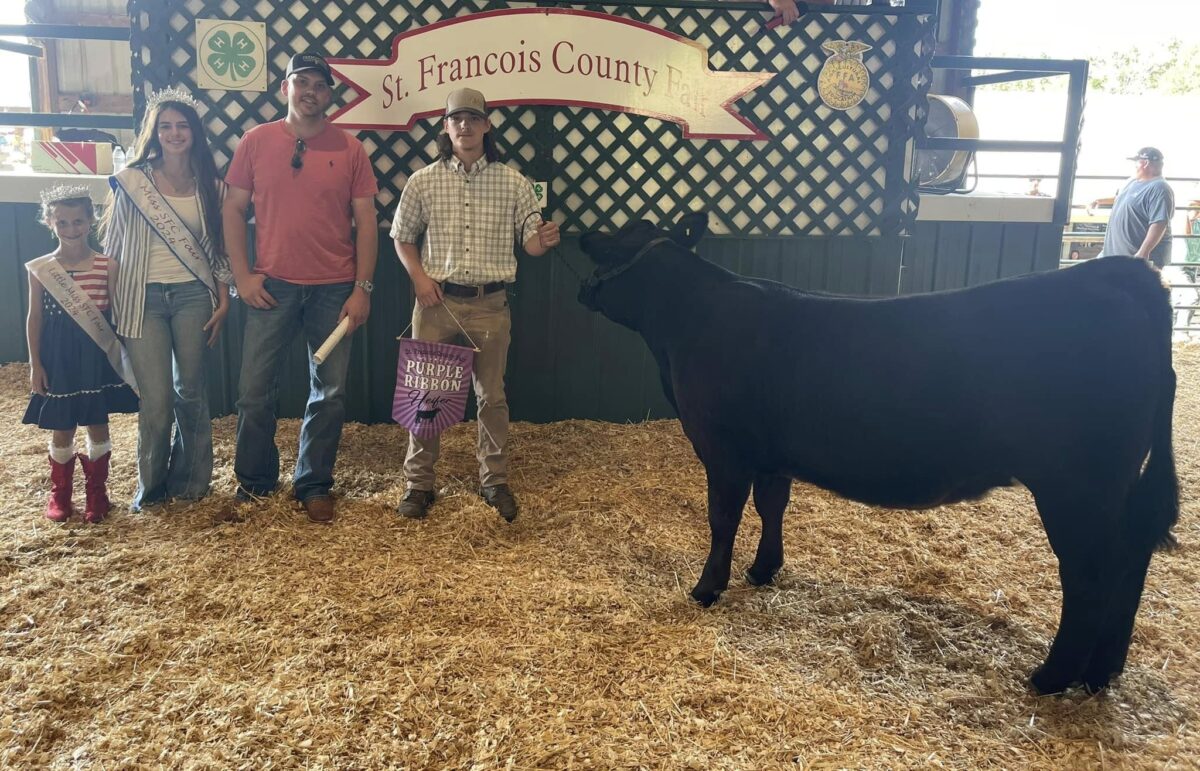 4-H/FFA Livestock Shows and Competition - St. Francois County Fair