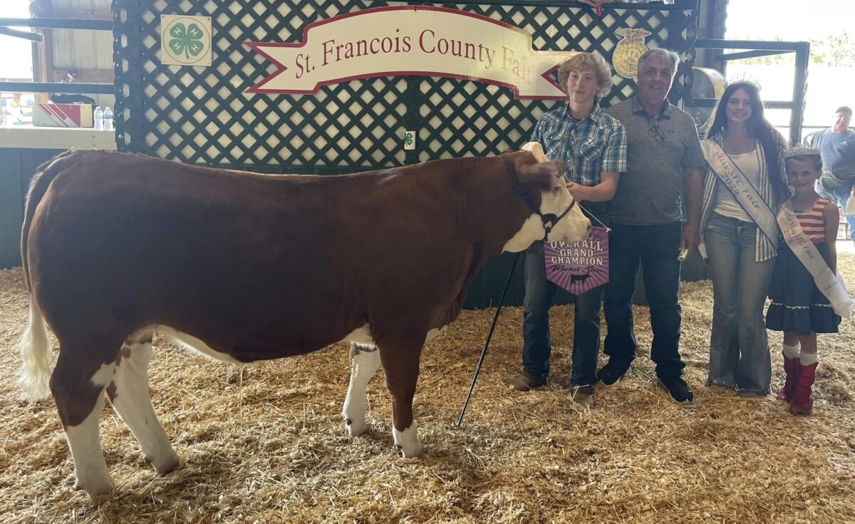4-H/FFA Livestock Shows and Competition - St. Francois County Fair