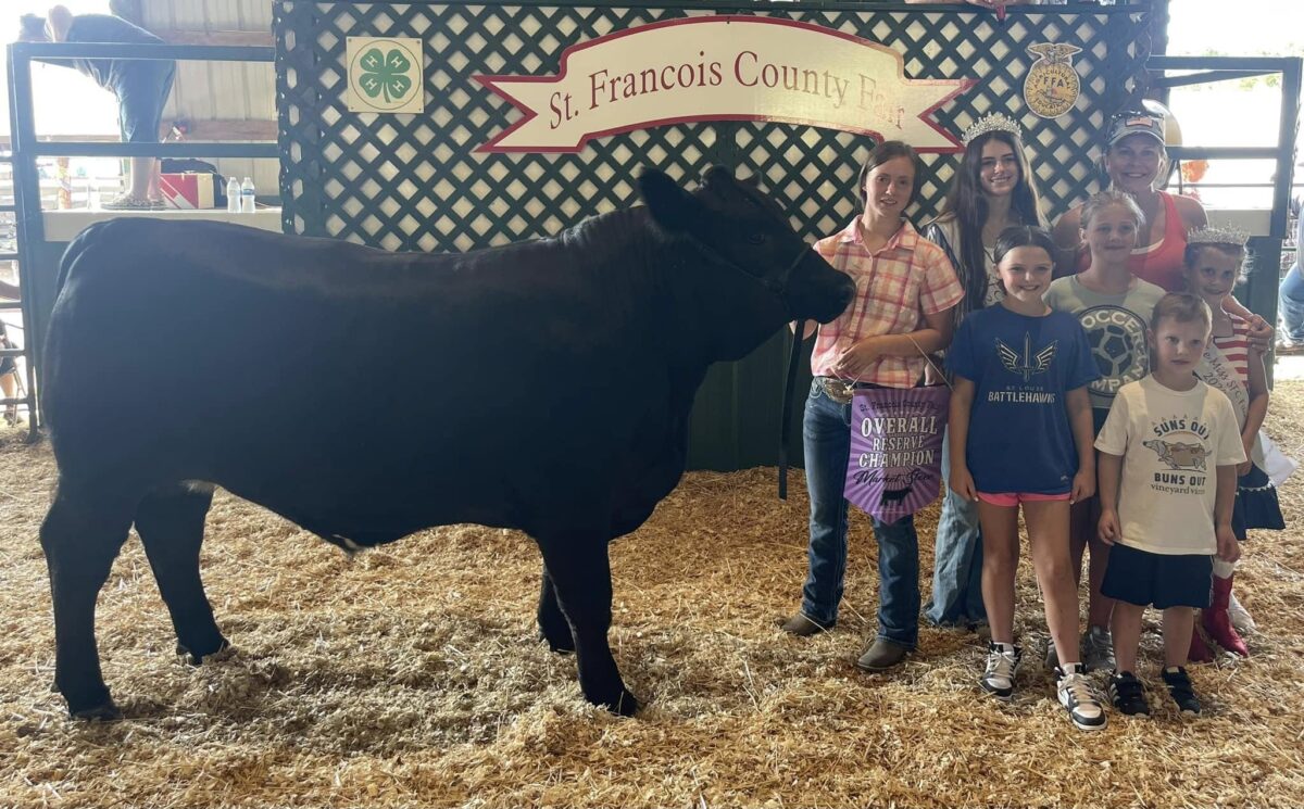 4-H/FFA Livestock Shows and Competition - St. Francois County Fair