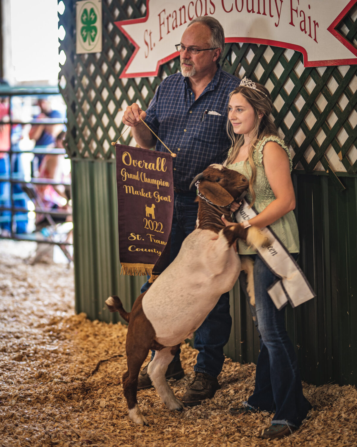 4-H/FFA Livestock Shows and Competition - St. Francois County Fair