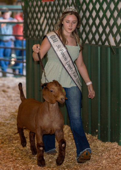 4-H/FFA Livestock Shows and Competition - St. Francois County Fair