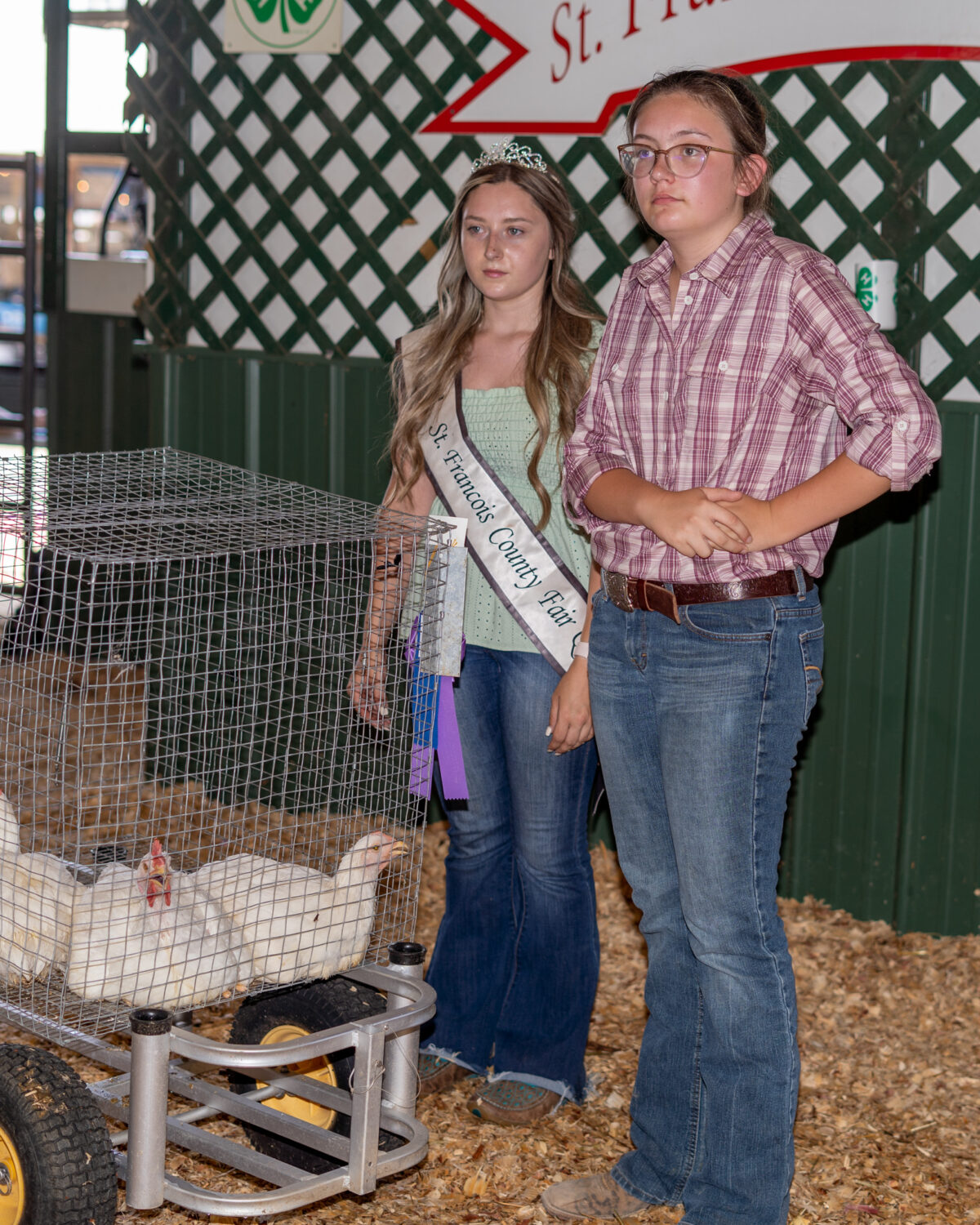 4-H/FFA Livestock Shows and Competition - St. Francois County Fair